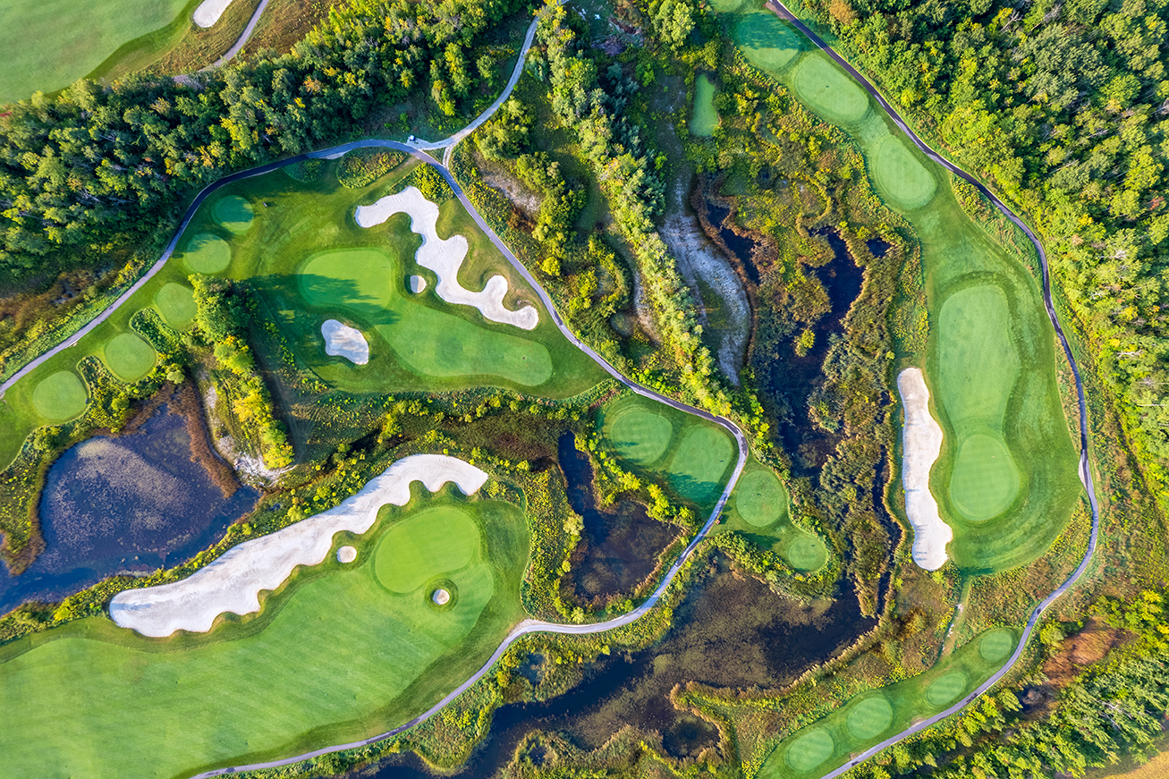 Level the Playing Field: Learn About Handicapping & WHS Updates - Golf ...